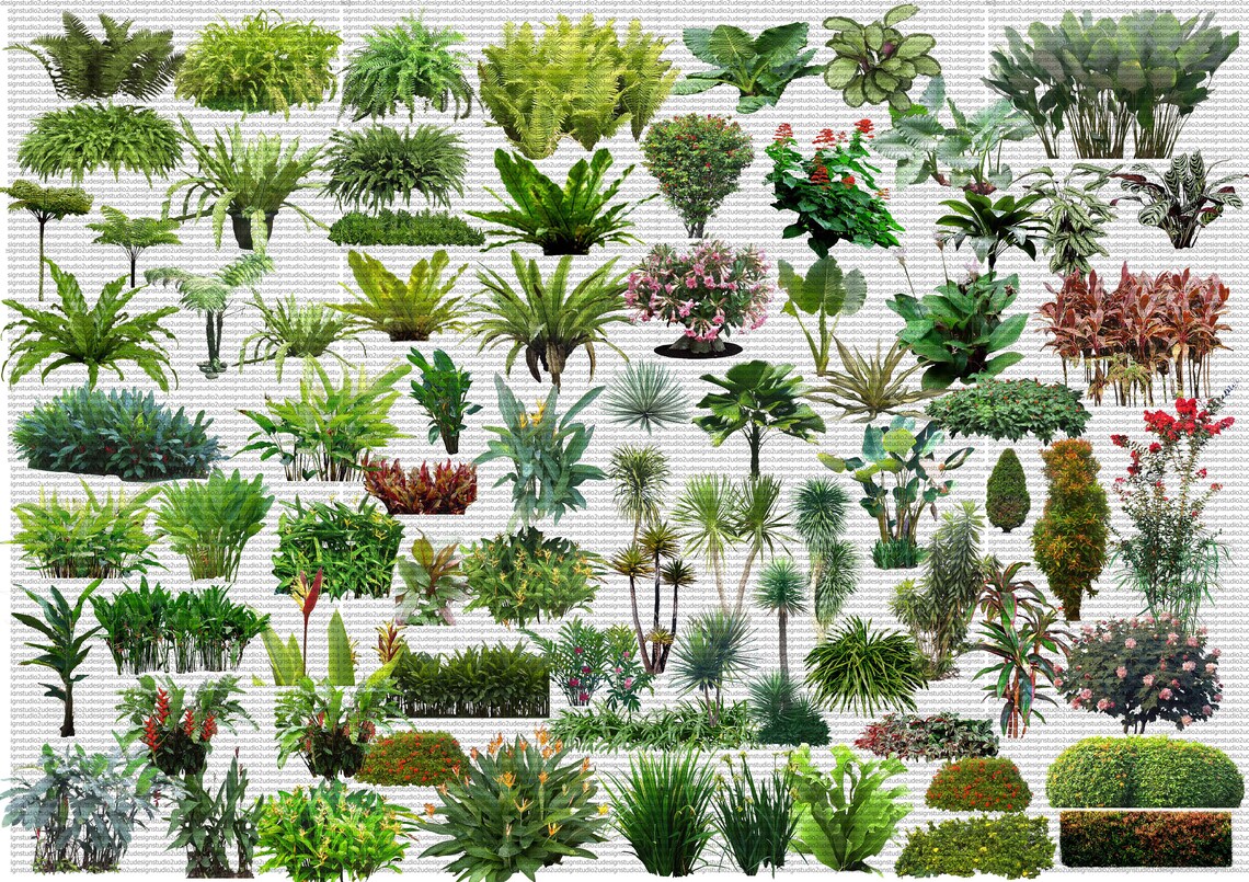 Photoshop Psd-landscape Vector Clipart Render Png/psd/jpg - Etsy