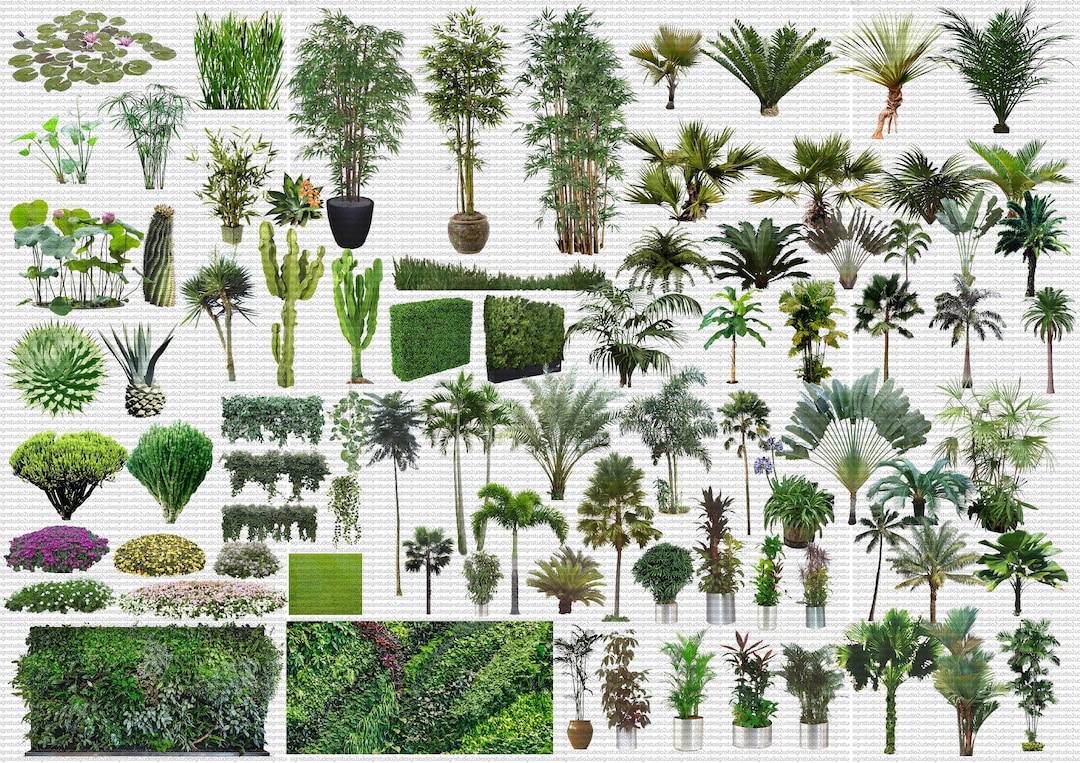 Photoshop Psd-landscape Vector Clipart Render Png/psd/jpg Tree,stones ...