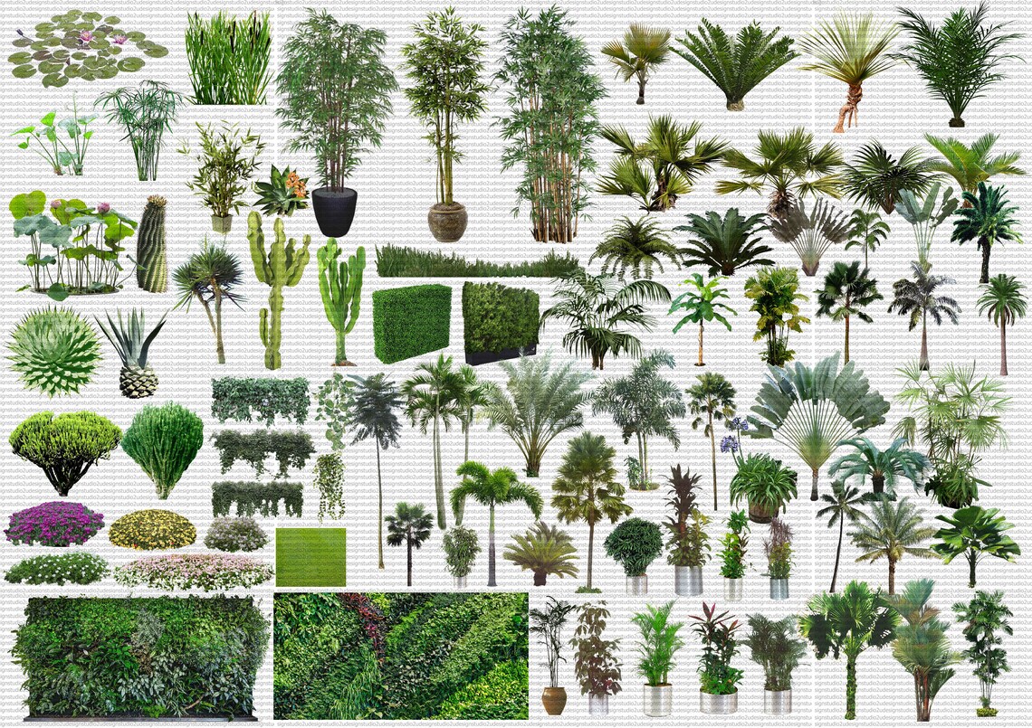 Photoshop PSD-Landscape Vector Clipart render PNG/PSD/Jpg | Etsy