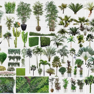 Photoshop Psd-landscape Vector Clipart Render Png/psd/jpg Tree,stones ...