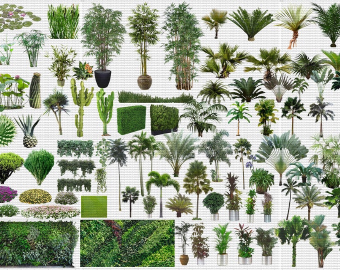 Photoshop Psd-landscape Vector Clipart Render Png/psd/jpg - Etsy