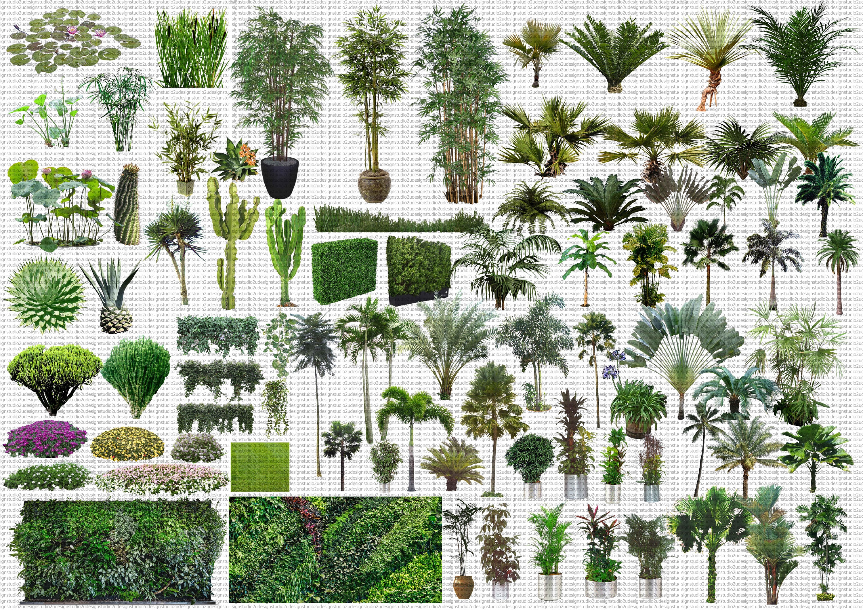 Photoshop Elevation Renders