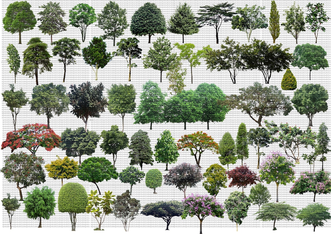 Photoshop Psd-landscape Vector Clipart Render Png/psd/jpg Tree,stones ...