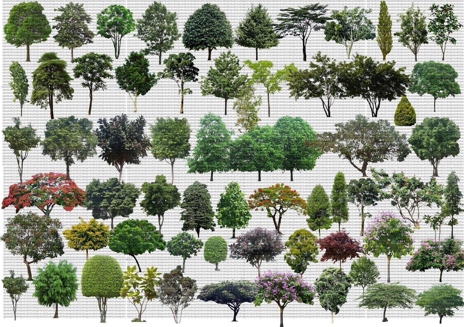 Photoshop Psd-landscape Vector Clipart Render Png/psd/jpg Tree,stones ...