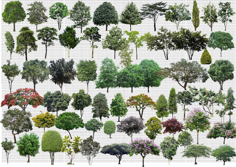 Photoshop Psd-landscape Vector Clipart Render Png/psd/jpg Tree,stones ...