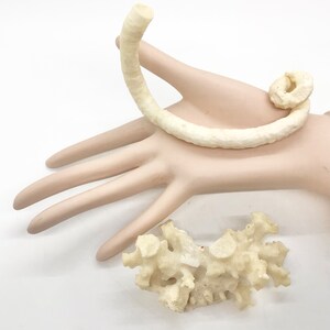 Vintage Starfish Marine Tube Worm Shell Coral Natural Specimen ...