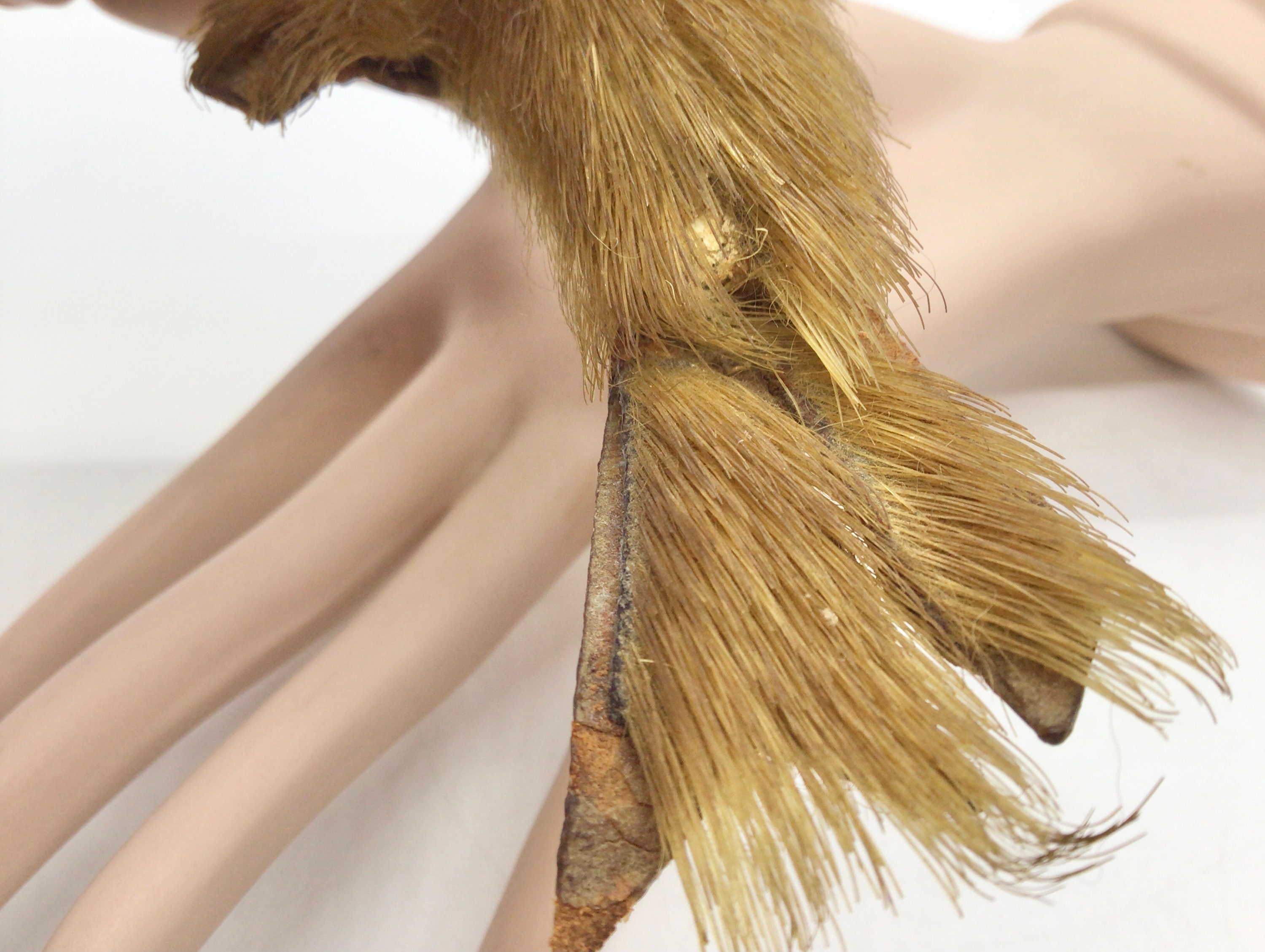 Vintage Faux Harbor Seal Taxidermy Nautical Figurine Home Decor One Eye ...