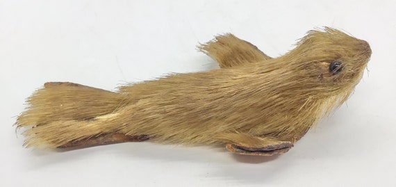 Vintage Faux Harbor Seal Taxidermy Nautical Figurine Home - Etsy