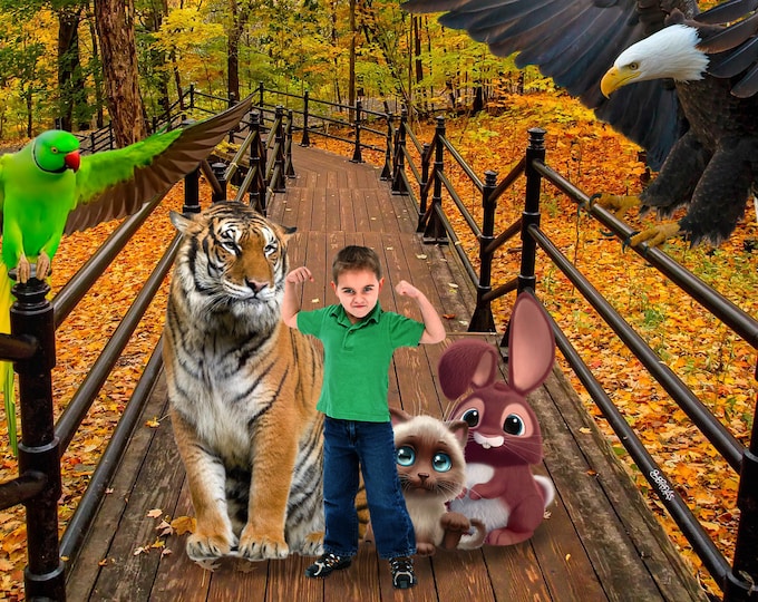 Cartoon Interactive Background Nature Backdrop Cartoon - Etsy
