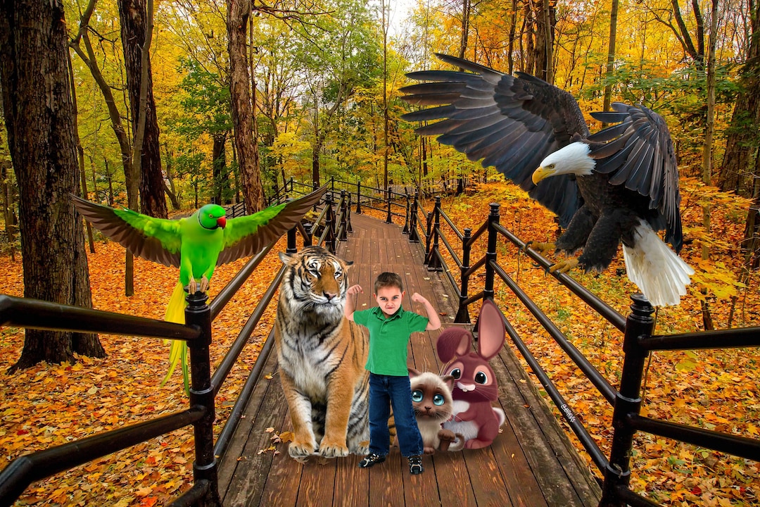 Park Stairs Background, Wild Animals Backdrop, Nature Background ...