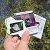 HOMESTUCK Egbun Sticker Sheet - Etsy