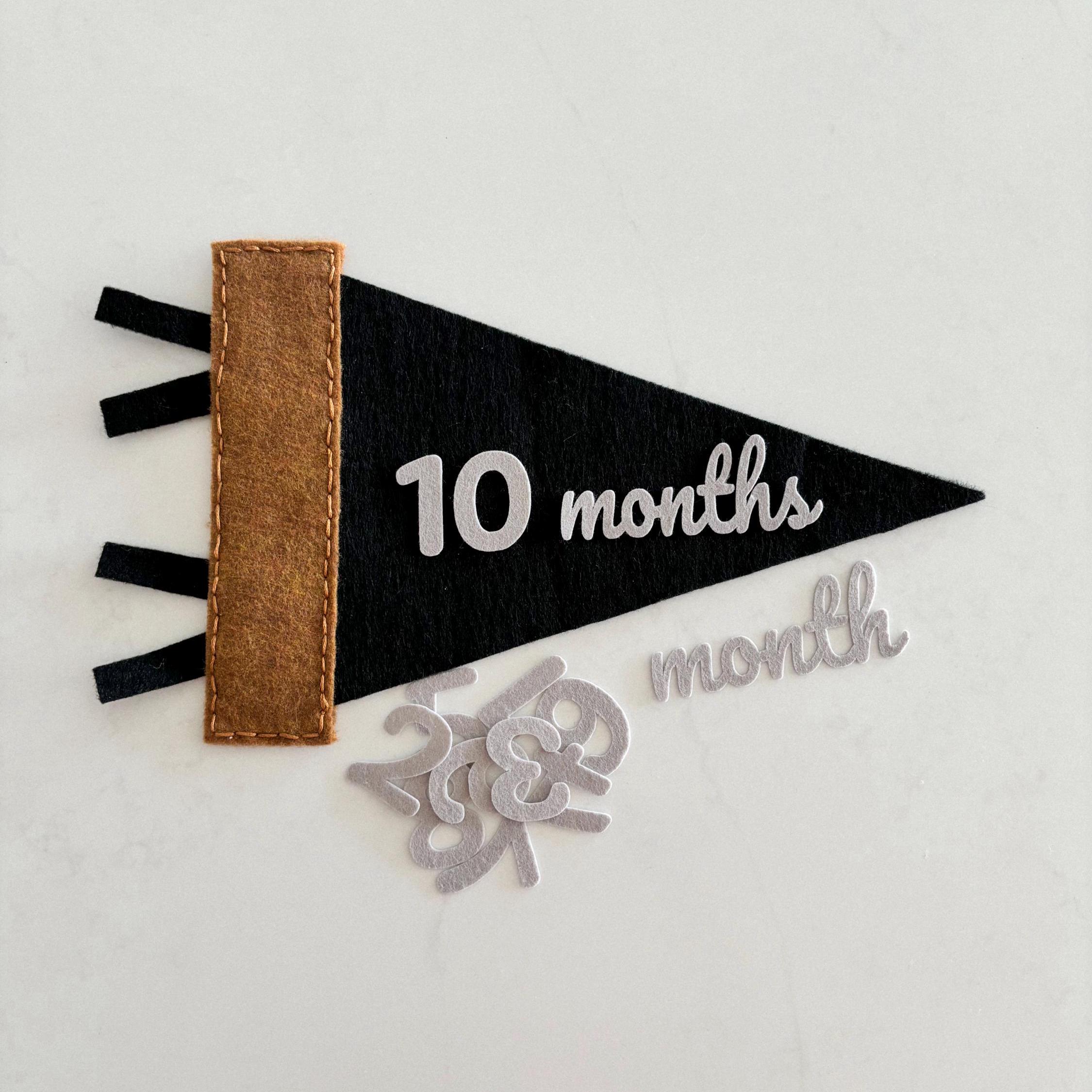 Pennant Flag Felt Milestone Markers - Etsy