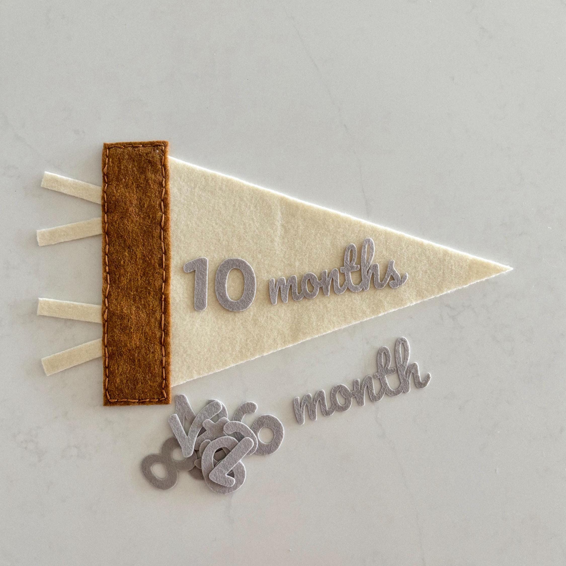 Pennant Flag Felt Milestone Markers - Etsy