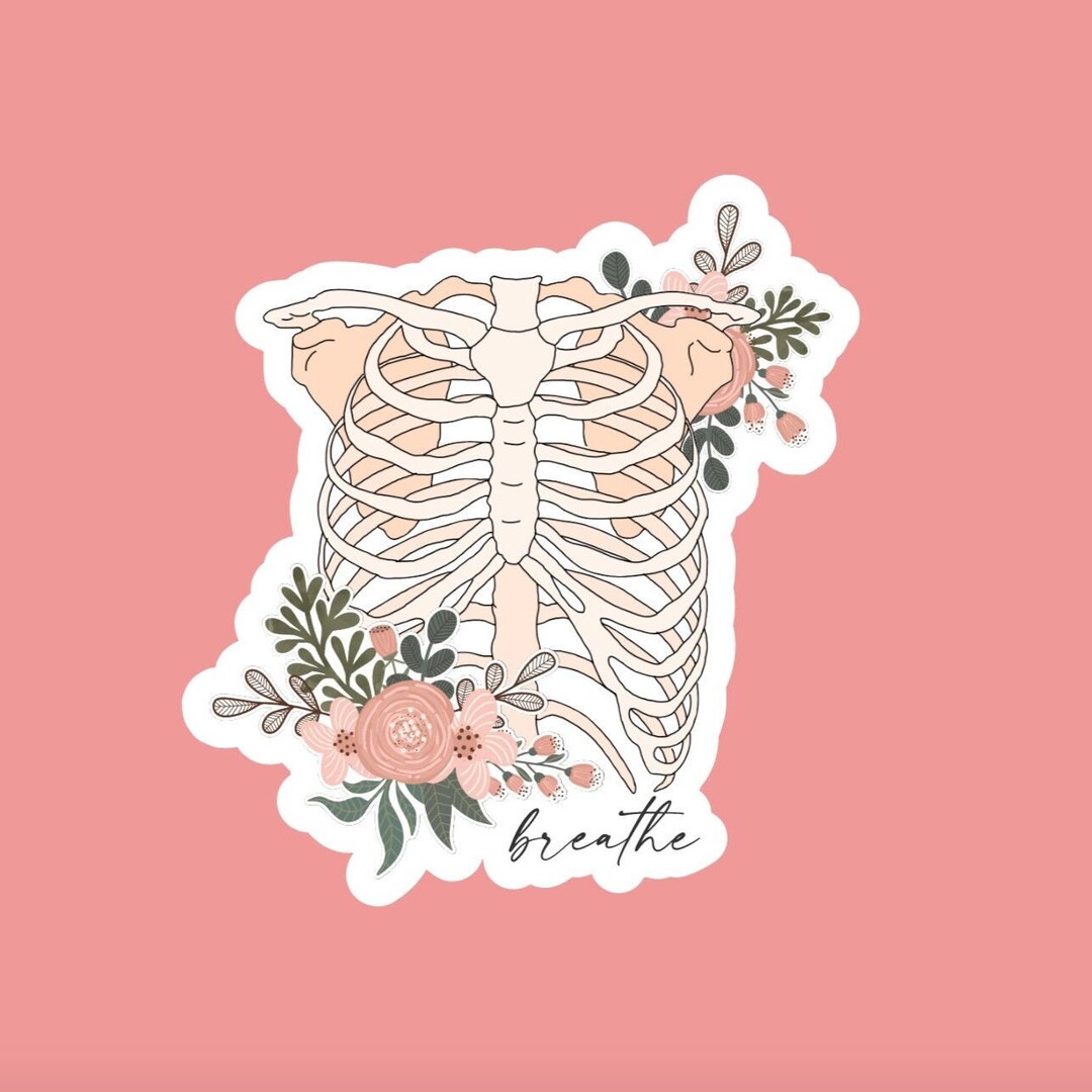 Thoracic Cage | Laminated Sticker - Etsy