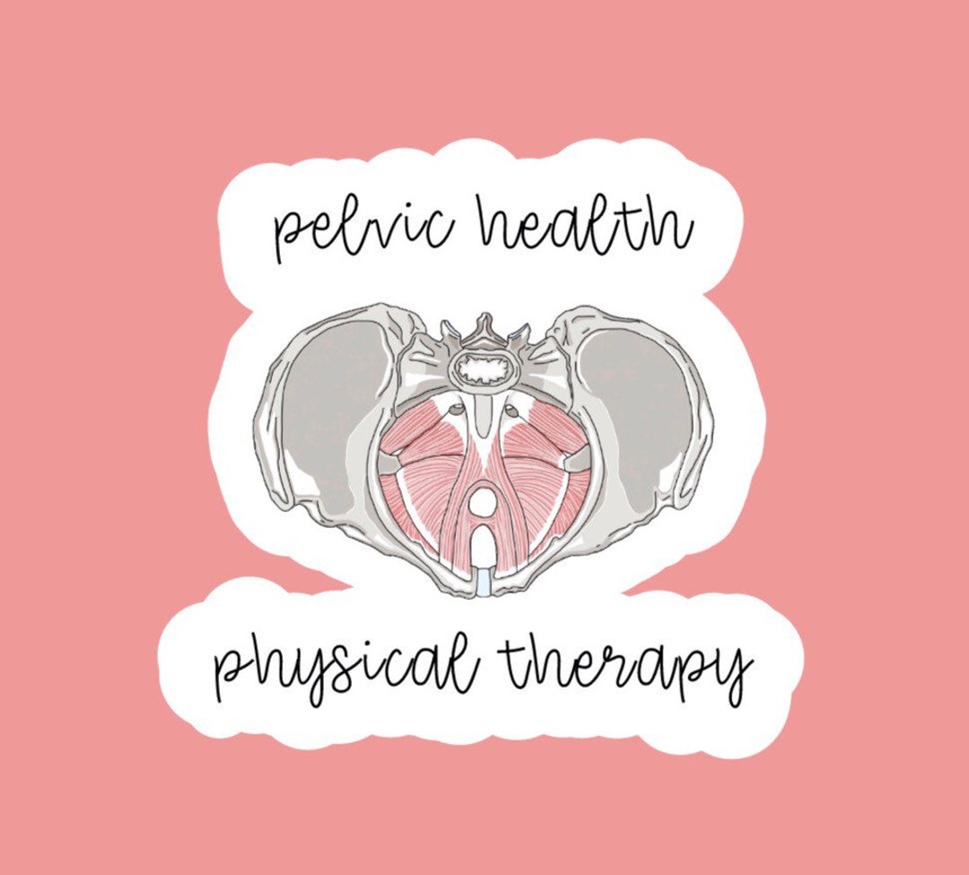 Pelvic Health Physical Therapy Laminated Sticker - Etsy
