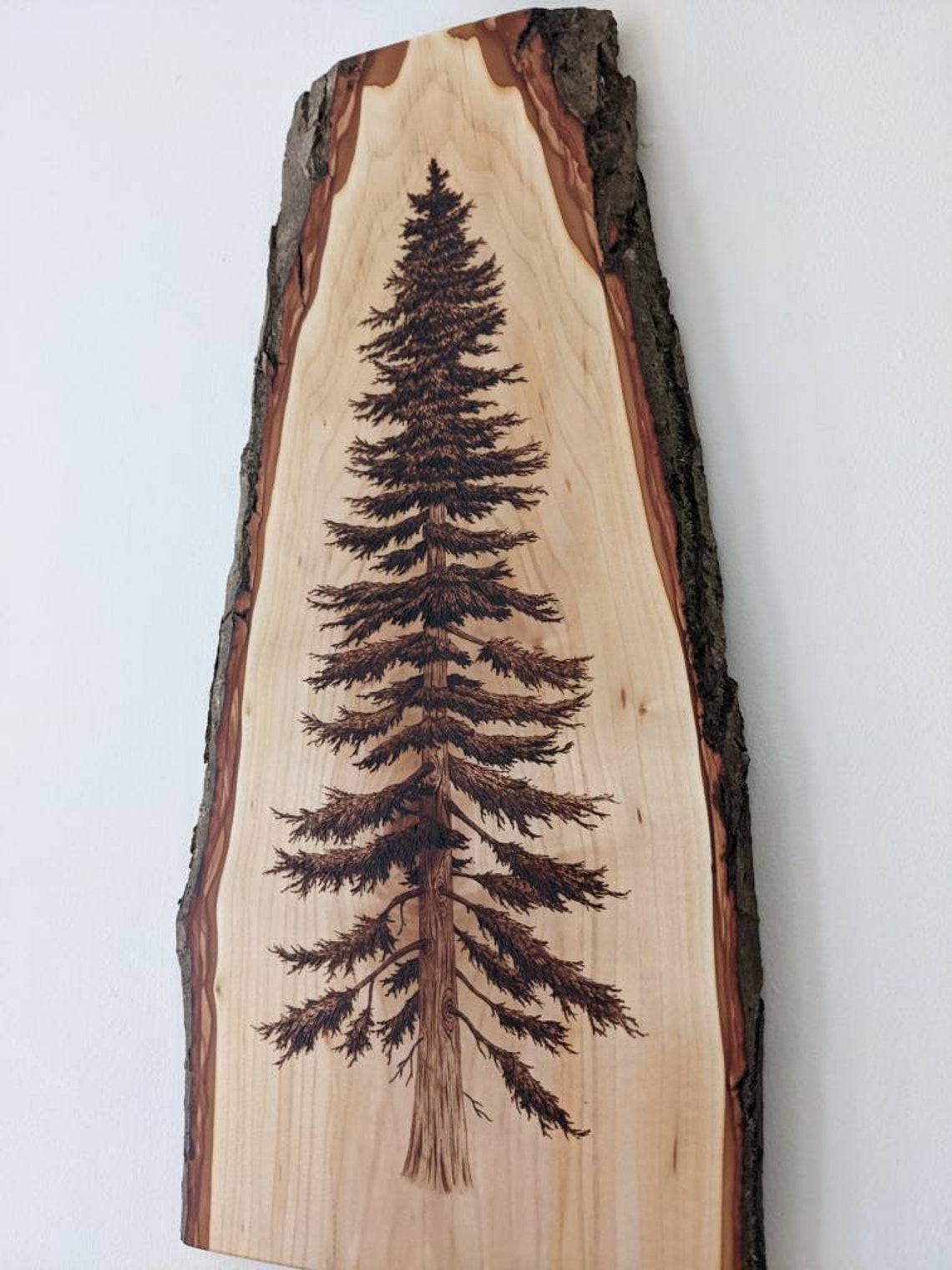 Pyrography Art Wood Art Tree Art Nature Douglas Fir | Etsy