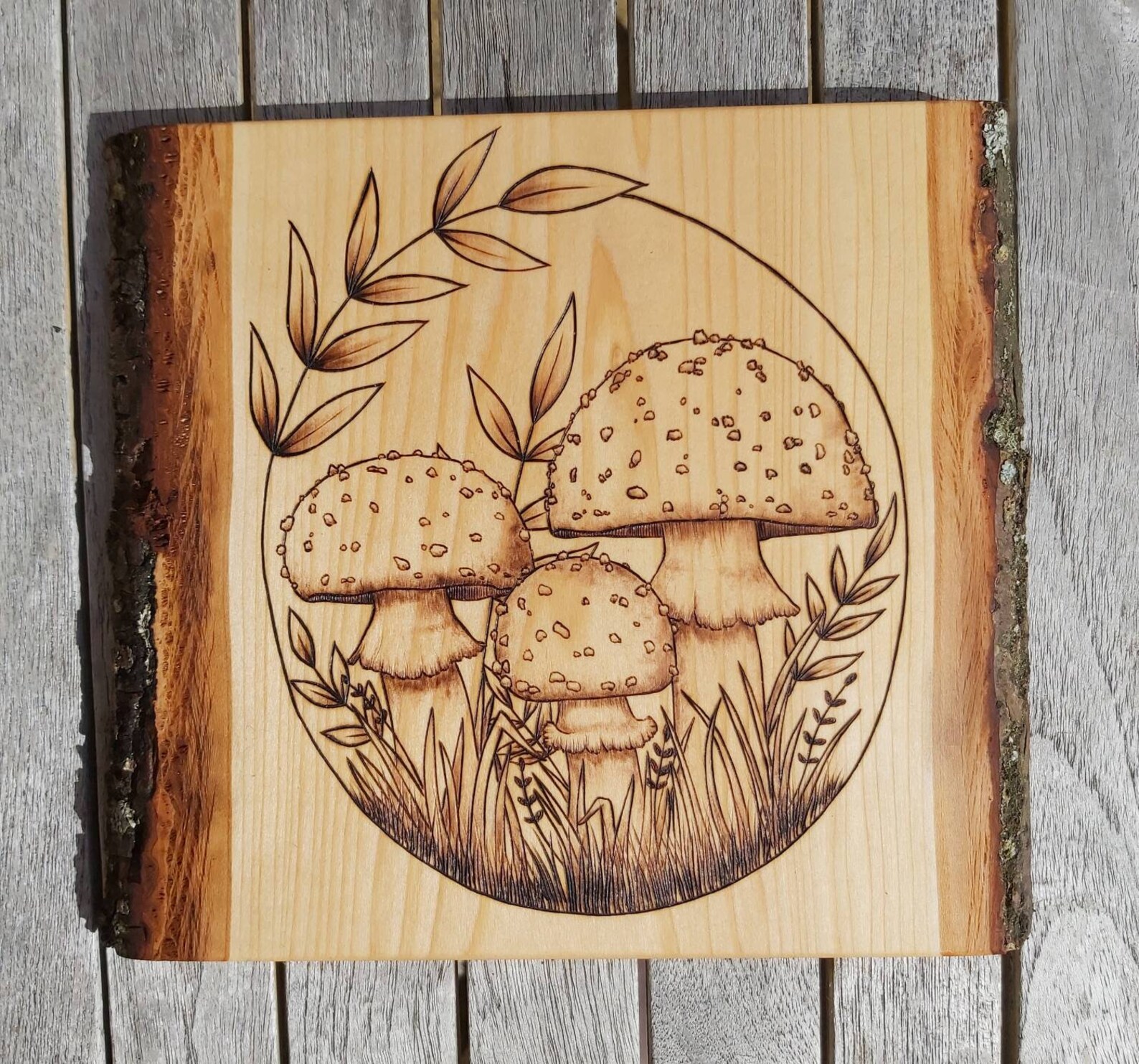 Pyrography Art Wood Art Mushroom Art Fungi Art Nature | Etsy