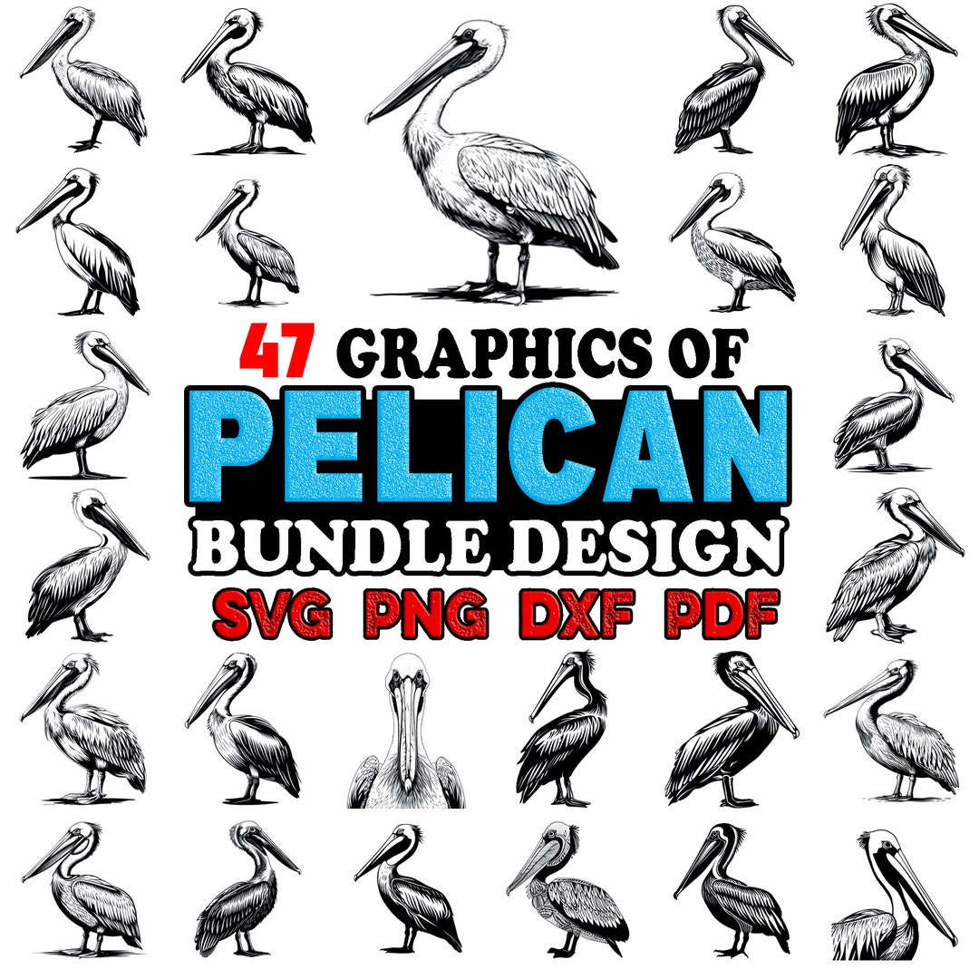 Pelican Bundle SVG, Png, Dxf, Pdf Instant Digital Downloads - Etsy
