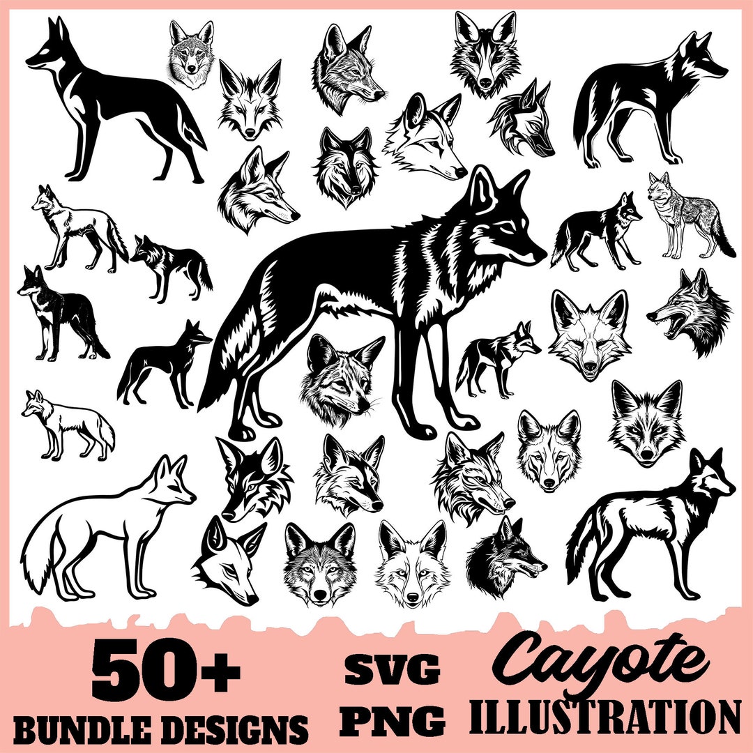 Coyote Illustration Svg, Bundle SVG, PNG Instant Digital Downloads - Etsy