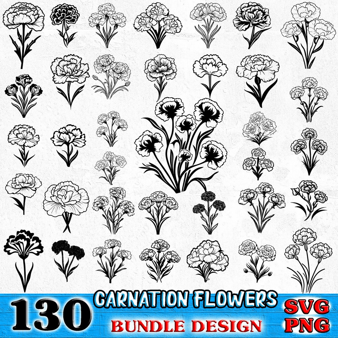 Carnation Flowers Bundle SVG, PNG Instant Digital Downloads - Etsy