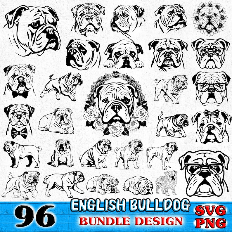 English Bulldog, Dog Pet Lover Owner Bundle SVG, PNG Instant Digital ...
