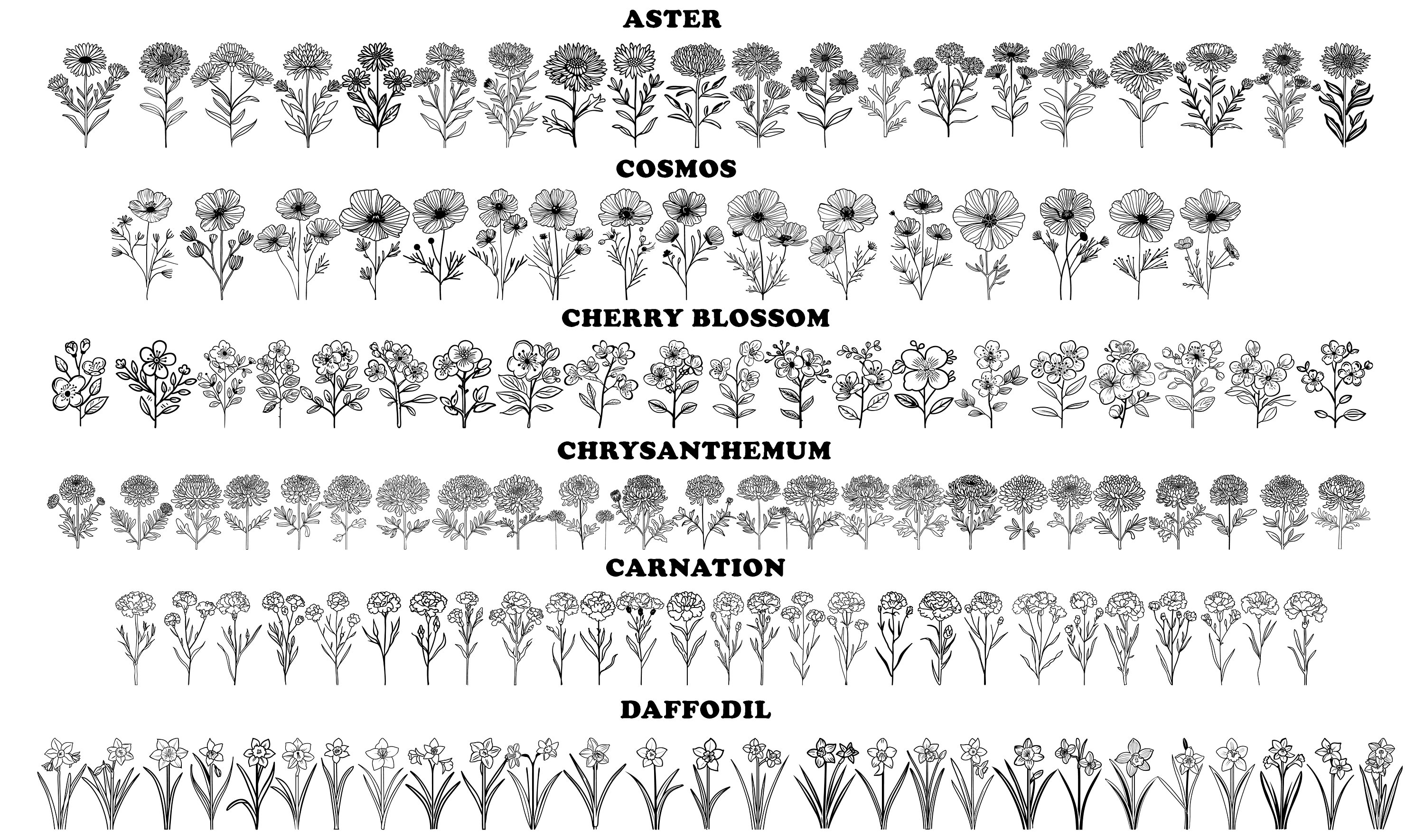 Couple Wildflower Birth Month 560 Graphic Files Svg, Dxf & Png Bundle ...