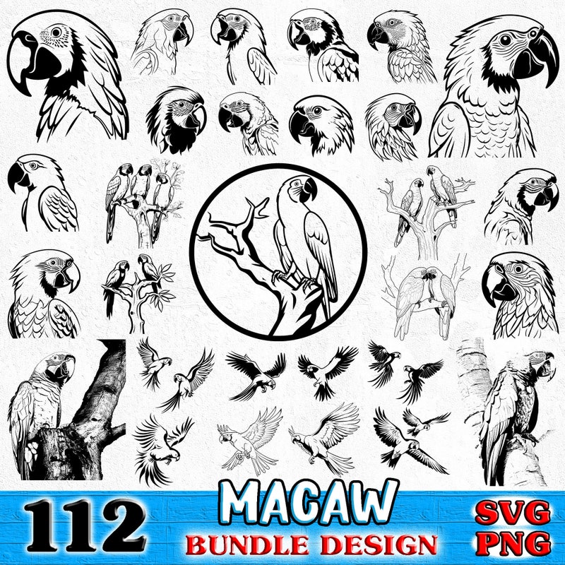 Macaw - Etsy