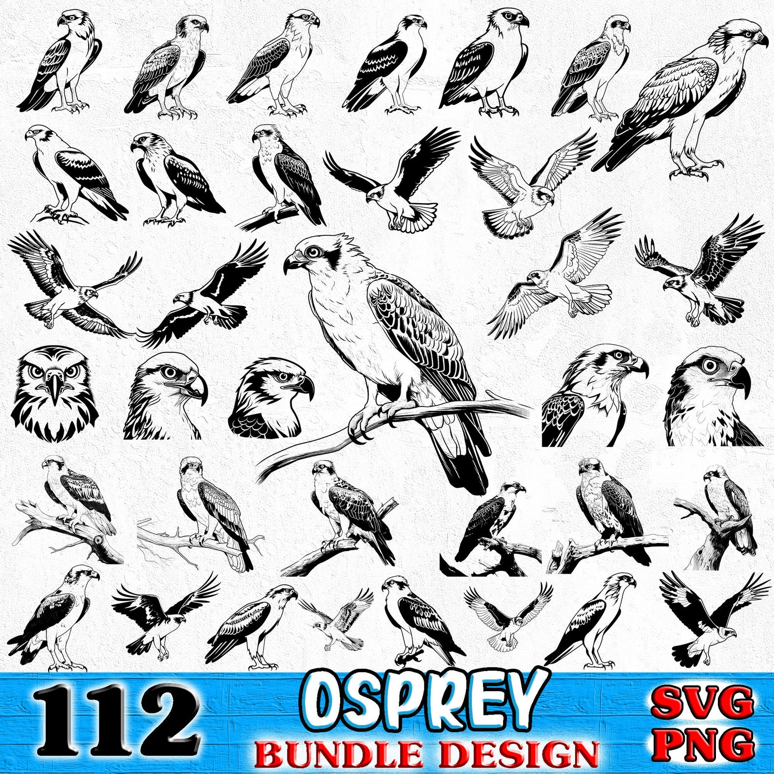 Osprey Svg Dxf Pdf Png Jpeg Bundle | Osprey Bird Svg Files | Eagle Hawk ...