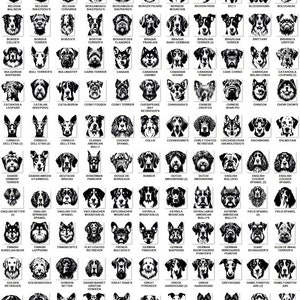 289 Breeds Dog Heads Stencil Art Style Cut File SVG & PNG Bundle ...