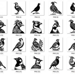 Quail Bundle SVG, Png, Dxf, Pdf - Instant Digital Downloads - Etsy