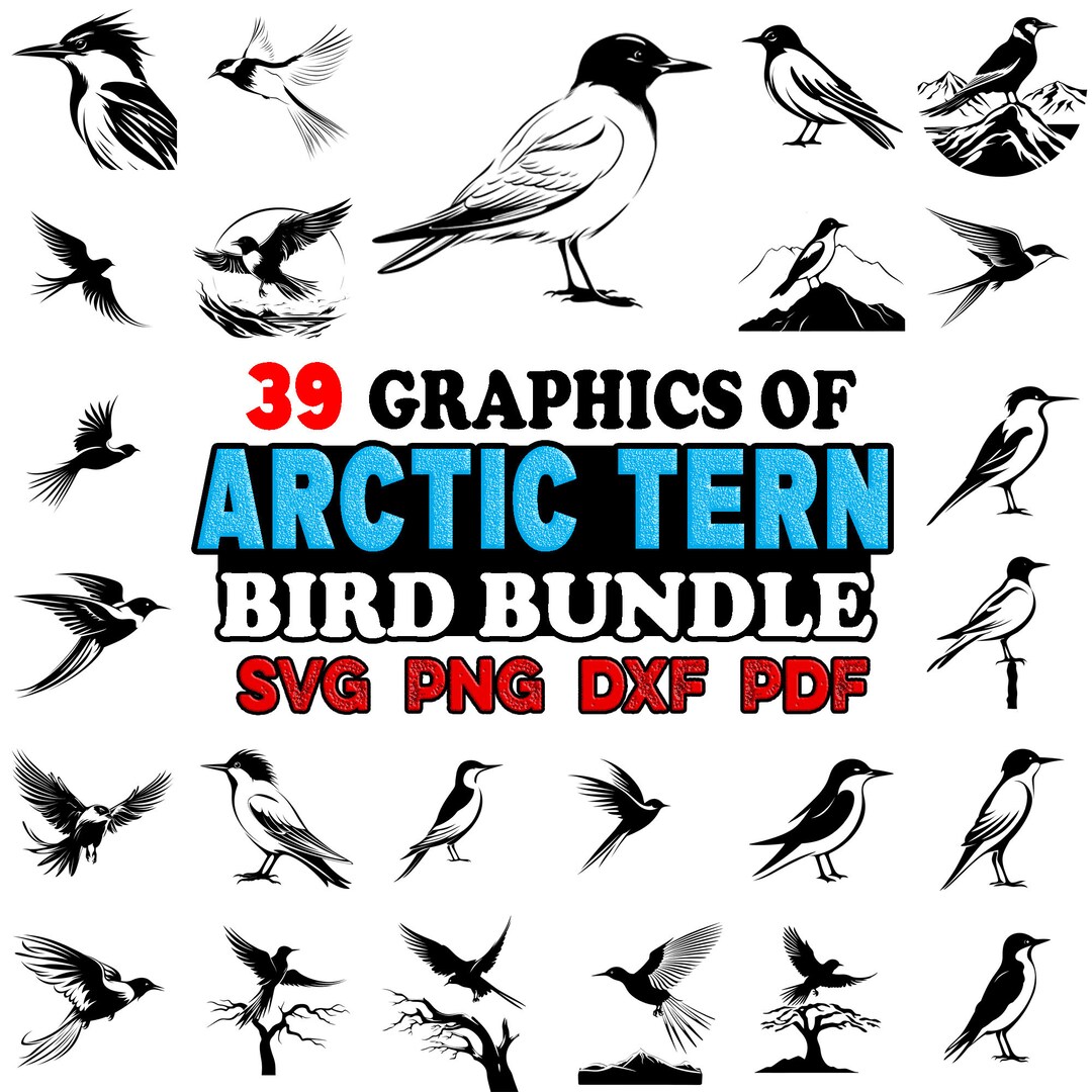 Arctic Tern Bird 39 Graphics Bundle Bundle SVG, Png, Dxf, Pdf Instant ...