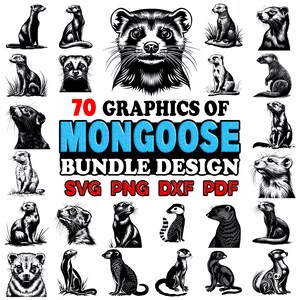 Mongoose Bundle SVG, Png, Dxf, Pdf - Instant Digital Downloads - Etsy