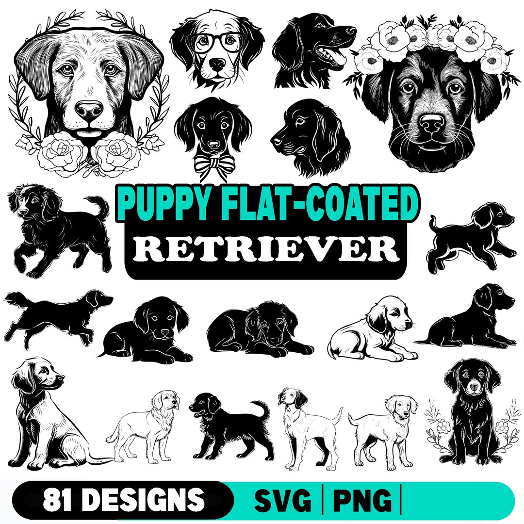 Flat-coated Retriever Puppy Dog Pet Lover Owner Bundle SVG, PNG Instant ...