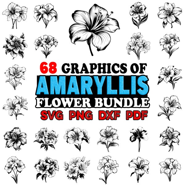 Amaryllis - Etsy