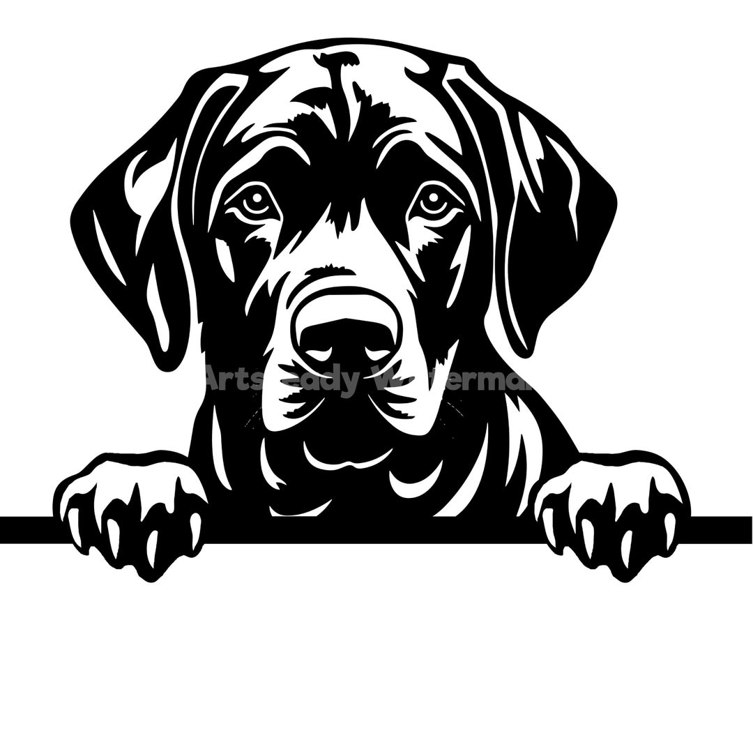 Black Labrador Retriever Peeking Dog SVG, PNG , DXF and Pdf - Dog or ...