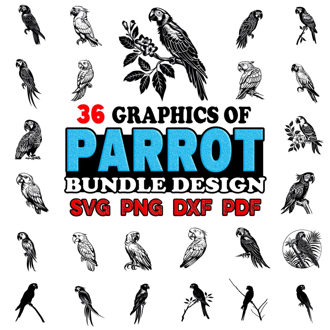 Parrot Bundle SVG, Png, Dxf, Pdf Instant Digital Downloads - Etsy