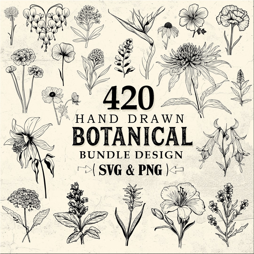 420 Botanical Florals Plants Hand Drawn Line Art - Etsy