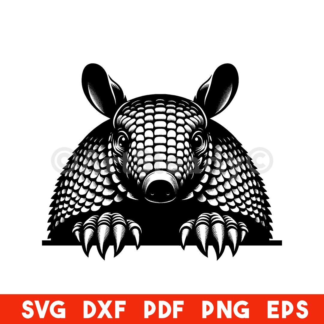 Safari Animals Svg, Png, Pdf, Dxf, Eps - Armadillo in a Peeking Pose ...