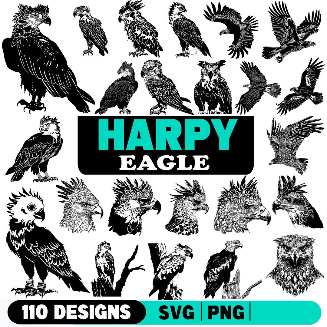 Harpy Eagle, Bundle SVG, PNG Instant Digital Downloads - Etsy