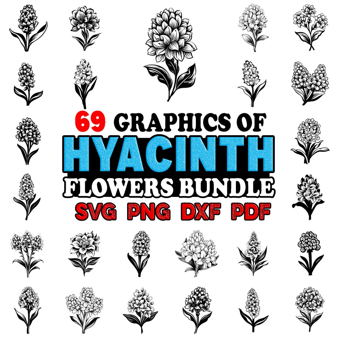 HYACINTH Flower Bundle SVG, Png, Dxf, Pdf - Instant Digital Downloads - Etsy