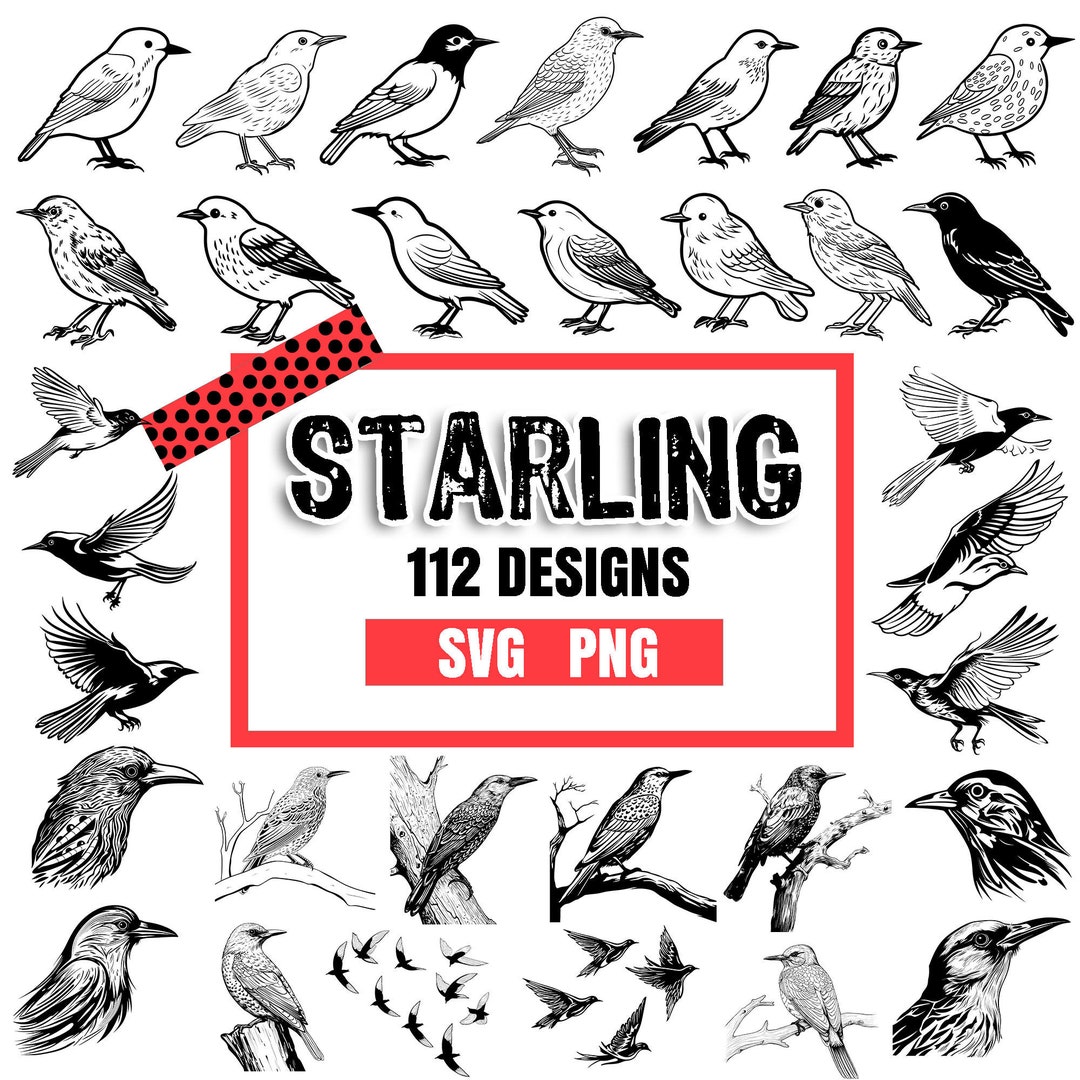 Starling, Bundle SVG, PNG Instant Digital Downloads - Etsy