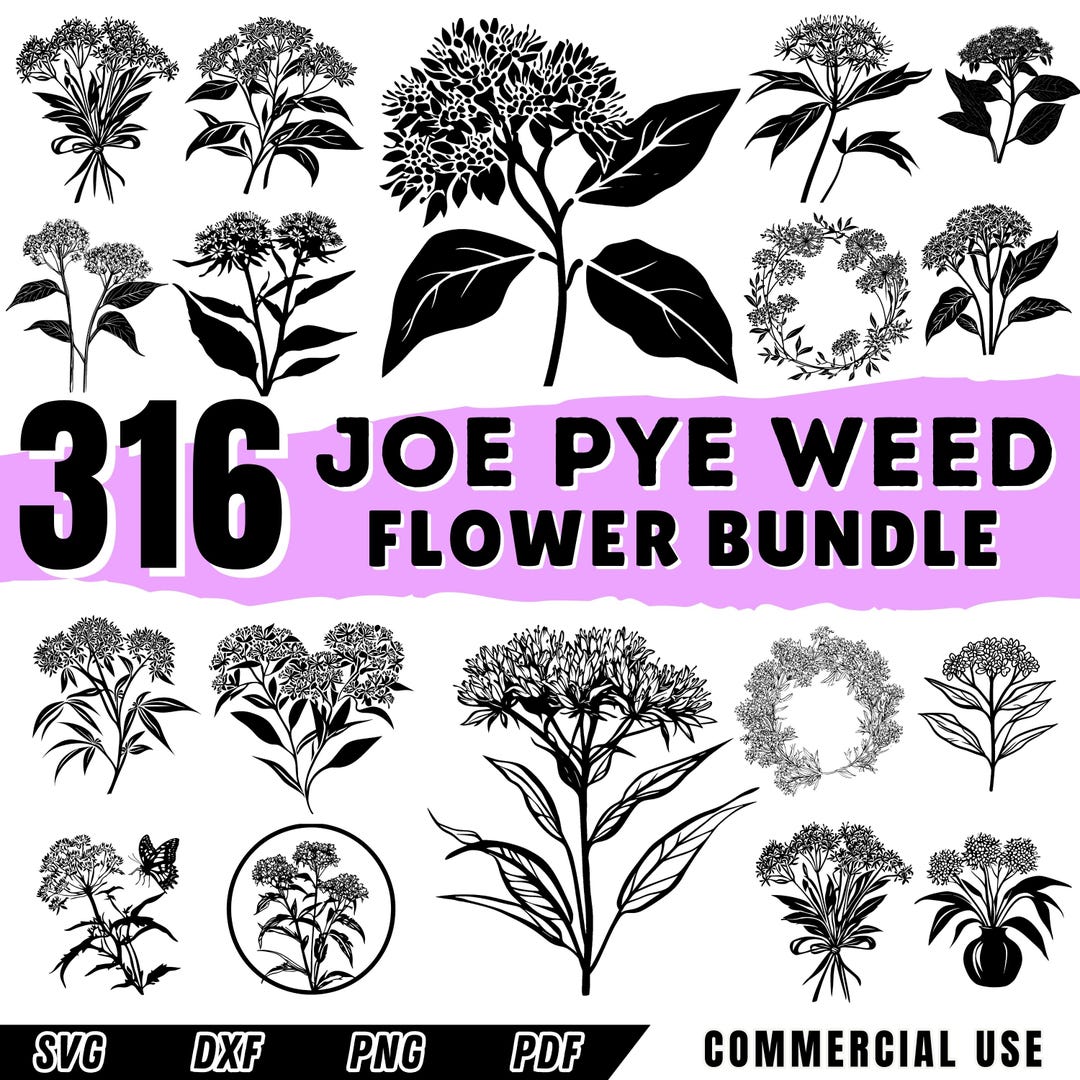 Joe Pye Weed Flower SVG Bundle Wildflower Cut Files Joe Pye Weed ...