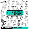 Kingfisher SVG Bundle, Kingfisher Bird PNG , Kingfisher Flying Clipart ...