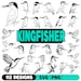 Kingfisher SVG Bundle, Kingfisher Bird PNG , Kingfisher Flying Clipart ...