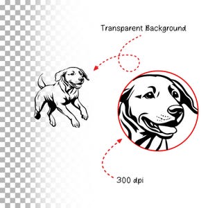 Labradinger Dog Engraving Bundle | CNC Laser Ready | Detailed Dog ...