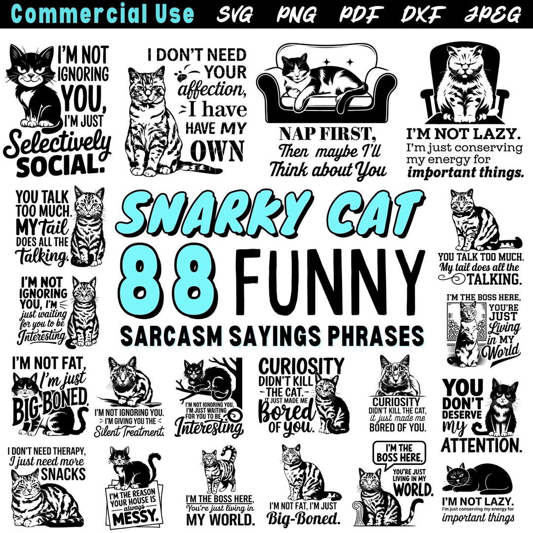Snarky Cat Funny Sarcasm Sayings Svg Dxf Png Jpeg Bundle Instant ...