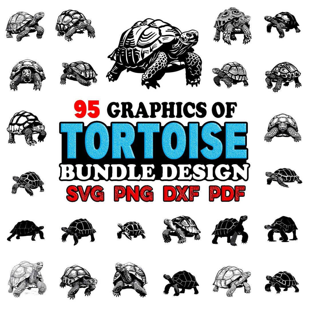 Tortoise Bundle SVG, Png, Dxf, Pdf - Instant Digital Downloads - Etsy
