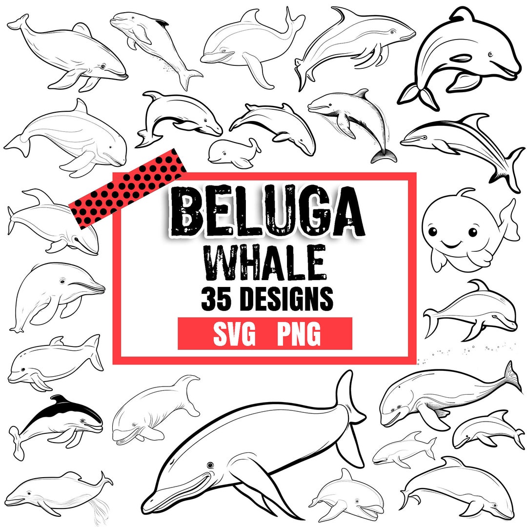 Beluga Whale, Bundle SVG, PNG Instant Digital Downloads - Etsy