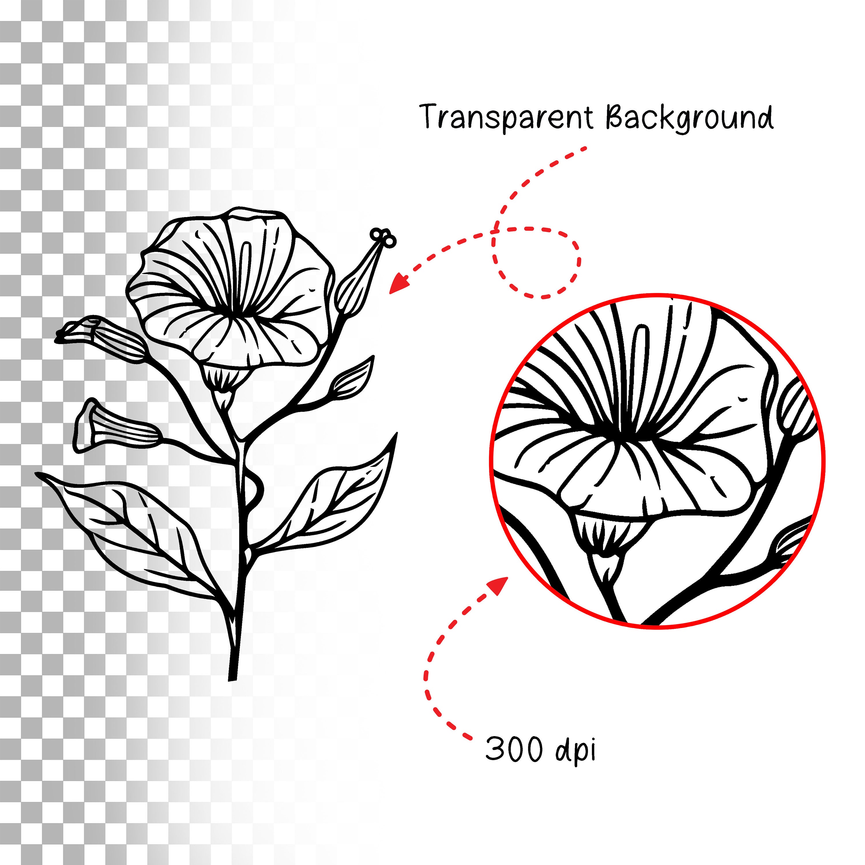 Couple Wildflower Birth Month 560 Graphic Files Svg, Dxf & Png Bundle ...