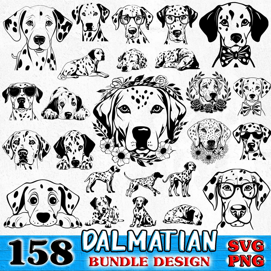 Dalmatian Dog Pet Lover Owner Bundle SVG, PNG Instant Digital Downloads ...